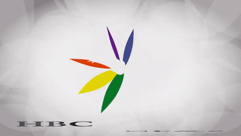 Hbc News GIFs - Get the best GIF on GIPHY