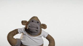 Sassy Monkey GIF by PG Tips - Find & Share on GIPHY