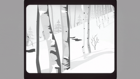 Snow Pictures GIF by South Park - Find & Share on GIPHY