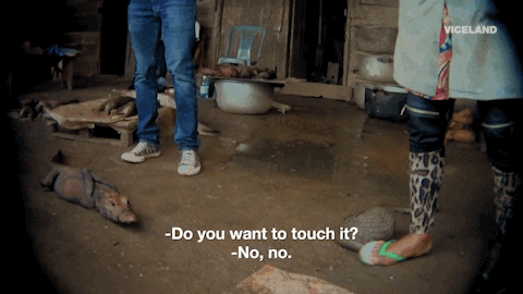 Touching Me Touching You GIFs - Find & Share on GIPHY