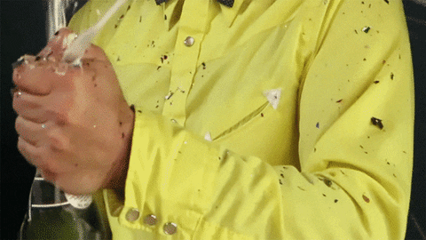 Reset-celebration GIFs - Get the best GIF on GIPHY