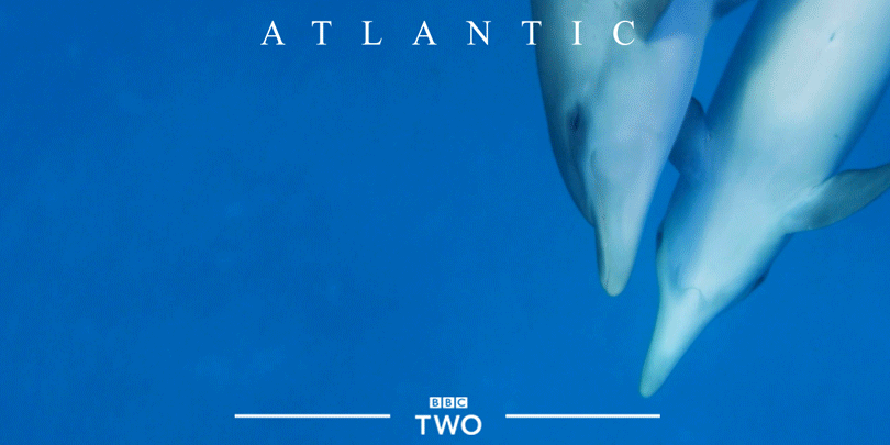 Bbc Two Ocean GIF by BBC - Find & Share on GIPHY
