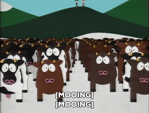 Cow-wallpaper GIFs - Get the best GIF on GIPHY