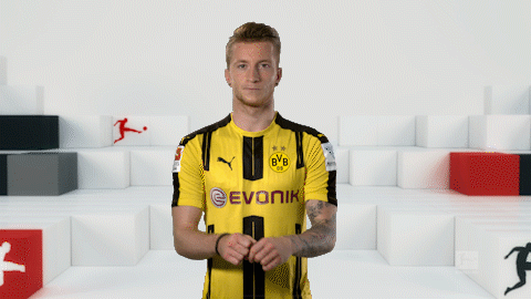 Borussia Dortmund Waiting GIF by Bundesliga - Find & Share on GIPHY