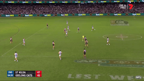 365-live GIFs - Get the best GIF on GIPHY