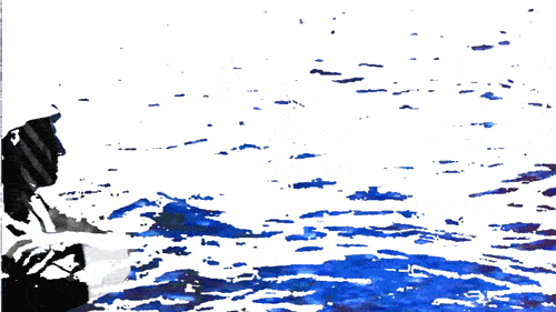 Nudibranch-mdp GIFs - Get the best GIF on GIPHY