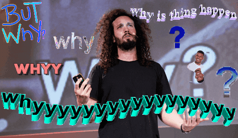Why Is Thing Happen GIFs - Get the best GIF on GIPHY