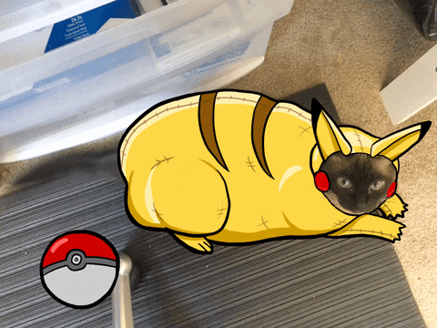 Fat Pikachu GIFs - Get the best GIF on GIPHY