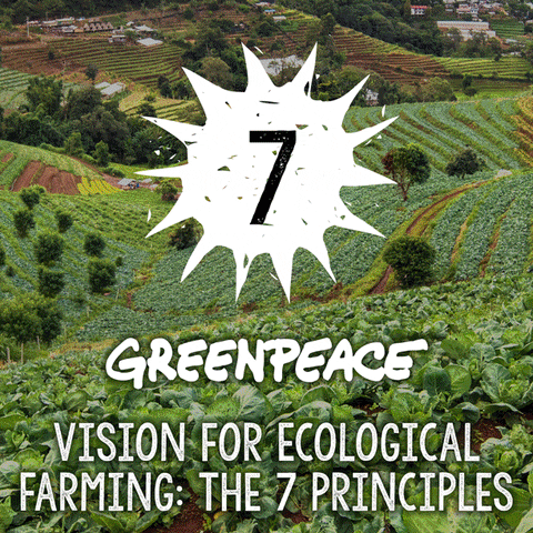 Rural Development GIFs - Get the best GIF on GIPHY