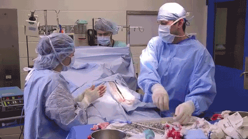 - Find & Share on GIPHY