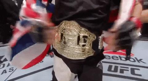 Ufc 206 Champion GIF - Find & Share on GIPHY
