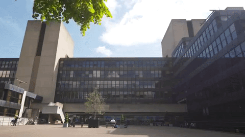 University GIF by UCL Institute of Education - Find & Share on GIPHY