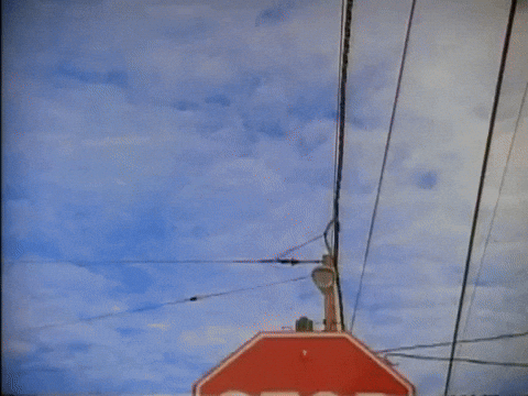 Stop Sign GIFs - Get the best GIF on GIPHY