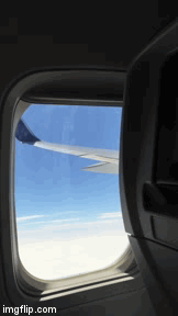 Sick Fly GIF by YeahNah - Find & Share on GIPHY