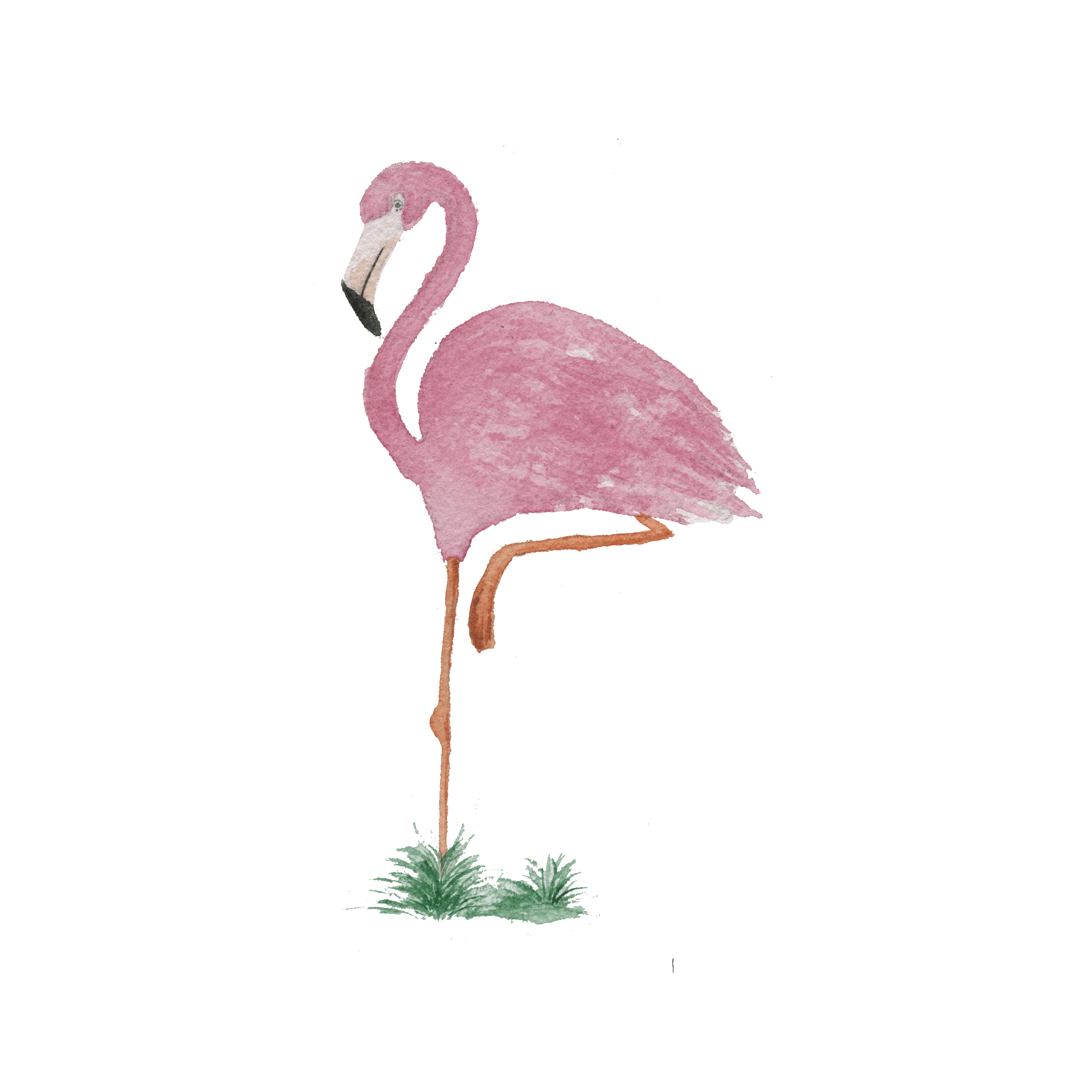Pink Bird Sticker for iOS & Android | GIPHY