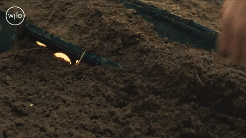 Doctor Who: Fugitive of the Judoon by Doctor Who | GIPHY