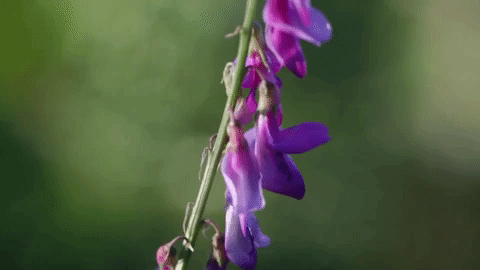 Ineffable GIFs - Get the best GIF on GIPHY