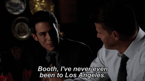 Bonesonfox GIF by Bones - Find & Share on GIPHY