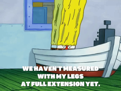 Full-measure GIFs - Get the best GIF on GIPHY