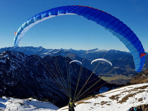 - Find & Share on GIPHY