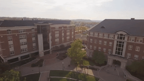 - Find & Share on GIPHY