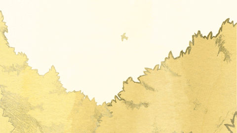 Clear Sky GIFs - Get the best GIF on GIPHY