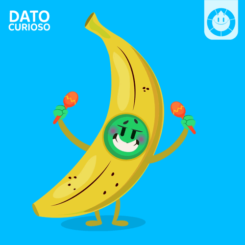 Datos Curiosos GIFs - Get the best GIF on GIPHY