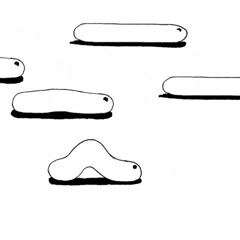 Worms GIFs - Get the best GIF on GIPHY