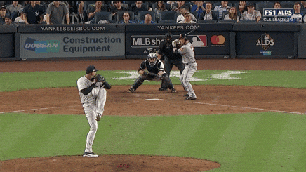Yankees GIF by Jomboy Media - Find & Share on GIPHY