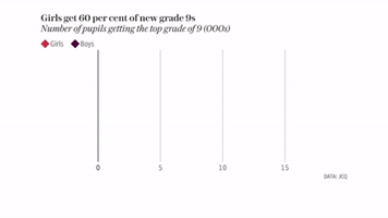 The Telegraph GIF - Find & Share on GIPHY
