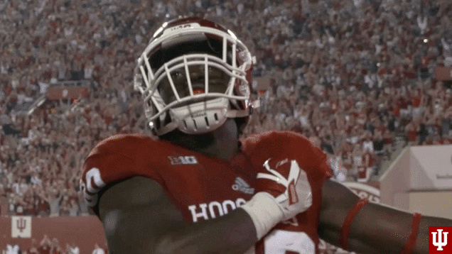 Indiana Hoosiers GIF - Find & Share on GIPHY