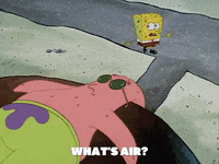 Spongebob Magic Conch Gif
