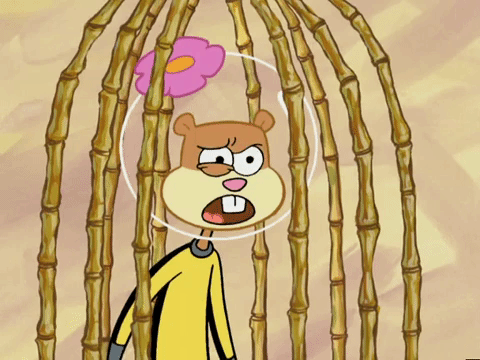 Sandy Cheeks Karate Island