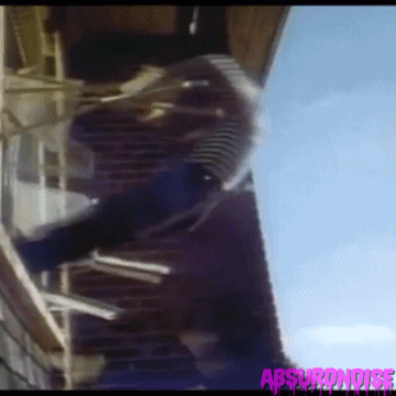 Prom-night-1980 GIFs - Get the best GIF on GIPHY