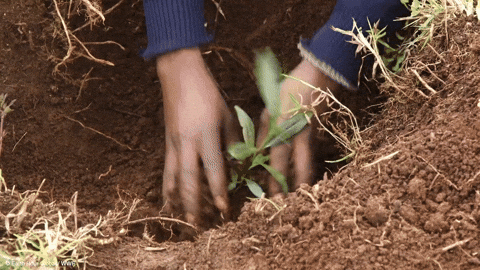 Soil Moisture GIFs - Get the best GIF on GIPHY