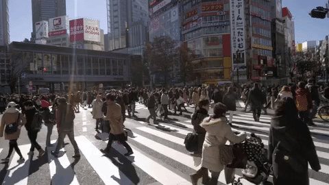 People City GIF by GAYCATION with Ellen Page and Ian Daniel - Find ...