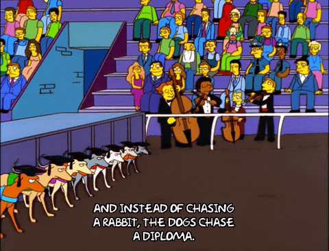 Dog Chasing GIFs - Get the best GIF on GIPHY