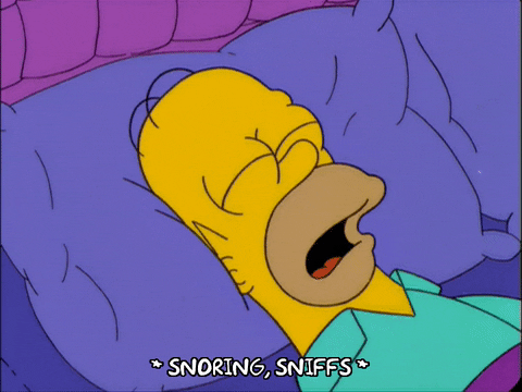 Memes De Homero Durmiendo
