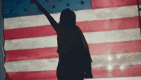 Lmanburg Flag Burning Gif