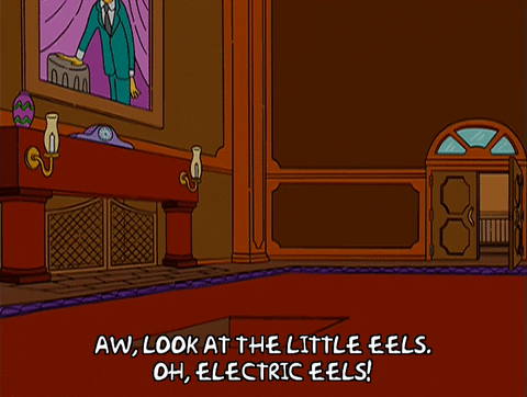Electric Eels GIFs - Get the best GIF on GIPHY