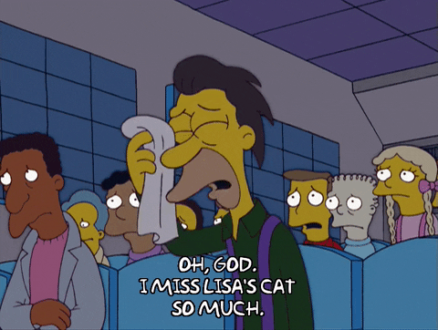 Lenny Face Gifs Find Share On Giphy