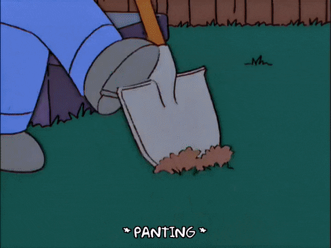 13X21 GIFs - Get the best GIF on GIPHY