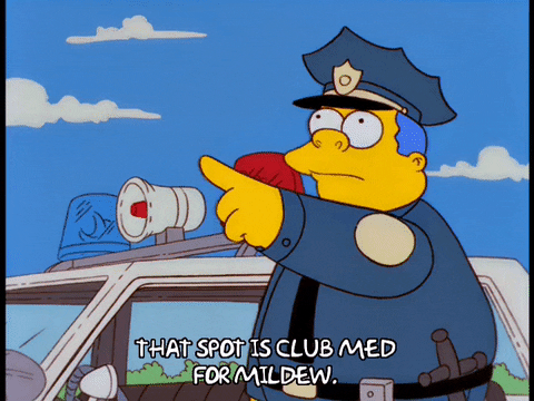 Club Med GIFs - Get the best GIF on GIPHY