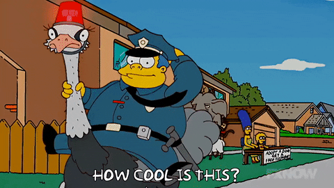 How-cool-is-this GIFs - Get the best GIF on GIPHY