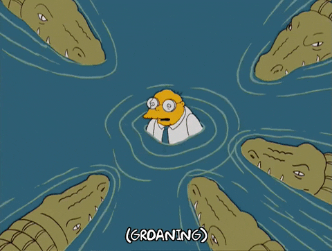 Group-of-alligator GIFs - Get the best GIF on GIPHY