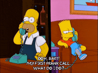 Homer Simpson Prank Call