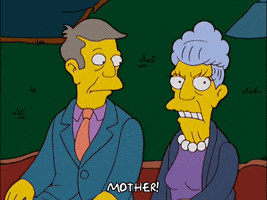 Principal Skinner GIFs - Find & Share on GIPHY