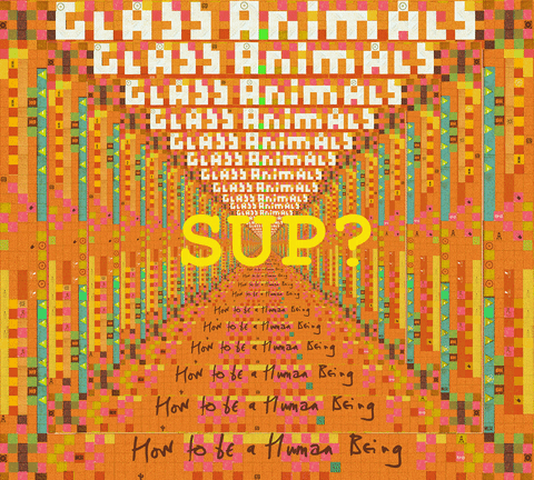 Sup Glass Animals GIFs - Get the best GIF on GIPHY