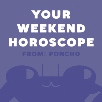 November 11 GIFs - Get the best GIF on GIPHY