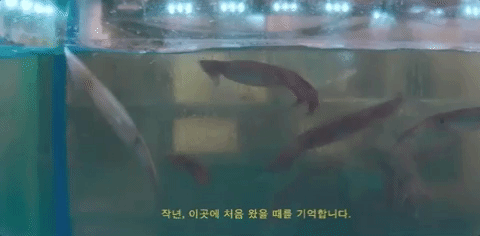 GIF by Gallant - Find & Share on GIPHY